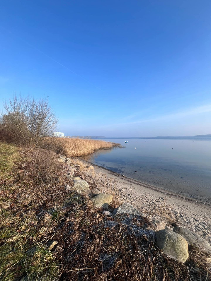 Stralsund - Ostsee 
Fewo Muschelbank- Apartment - Stralsund