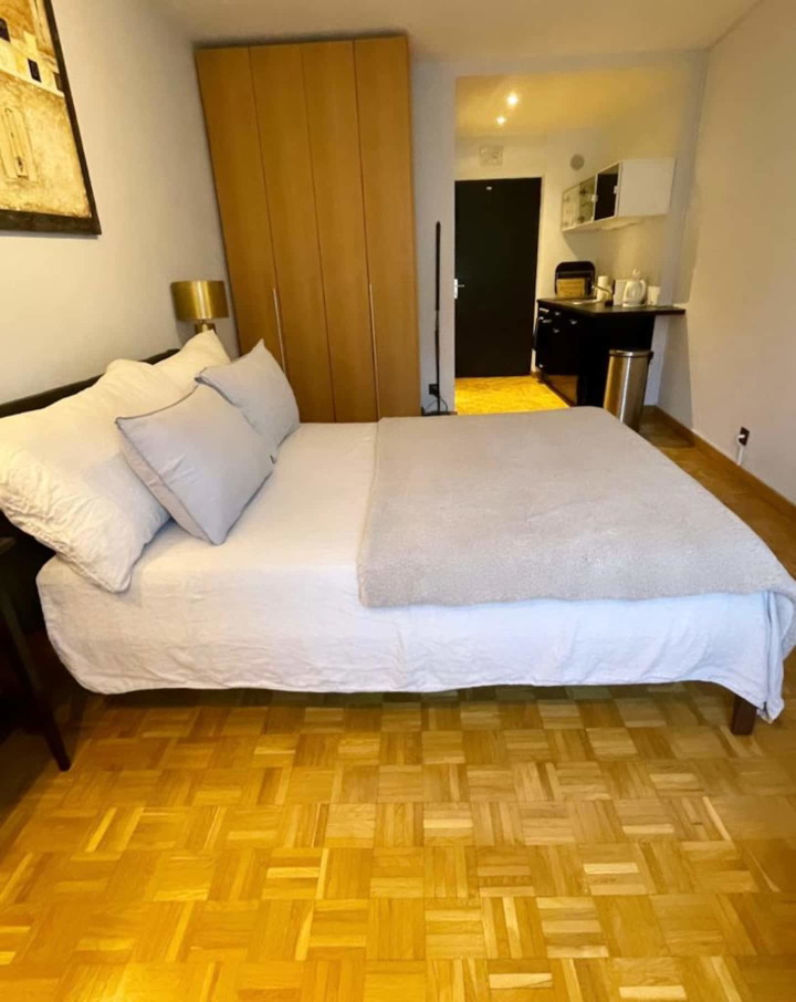 Comfortable Studio / Old Town' - Geneva