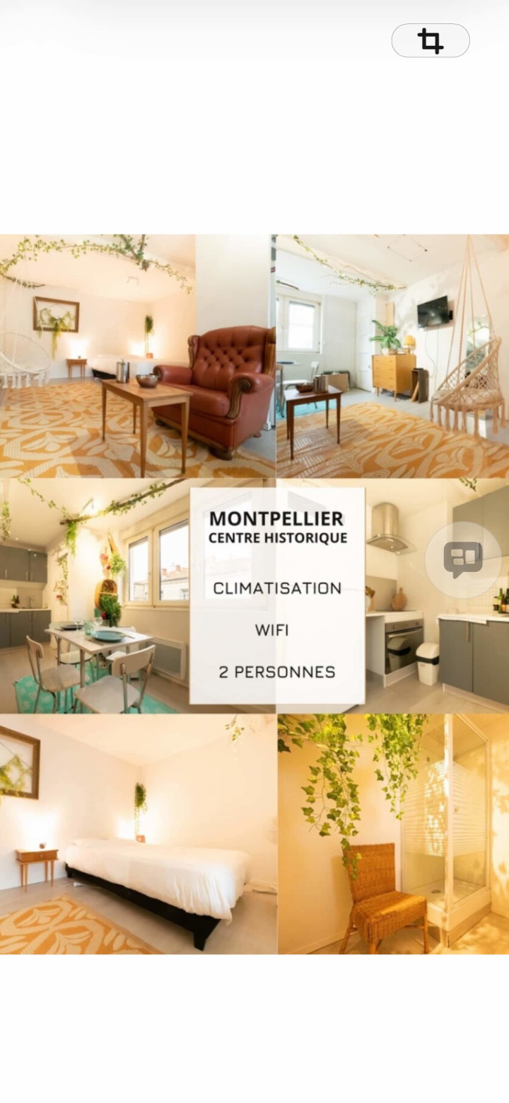 Le Vintage : Centre-ville - Grabels