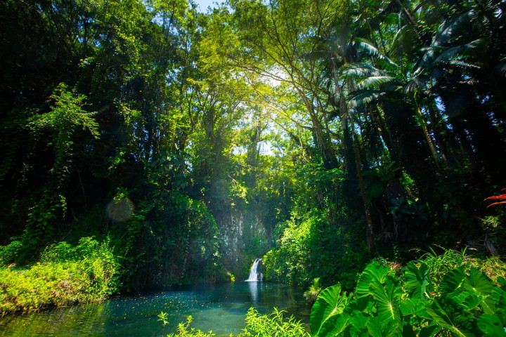 Aloha Falls Hilo ~ Peaceful - Hilo, HI
