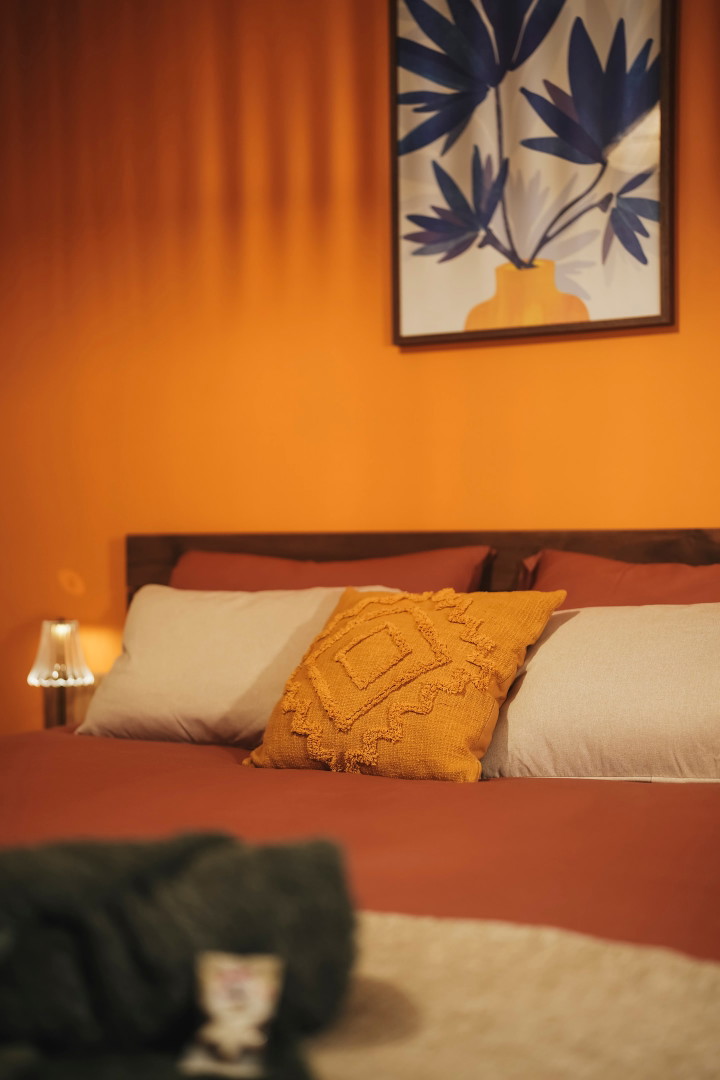 Pisana House - Appartement De Charme Tout Confort - Annemasse