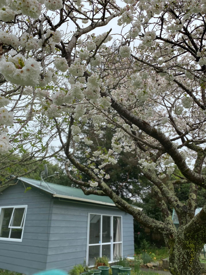 Tui Cottage (Love Shack) - Wairarapa