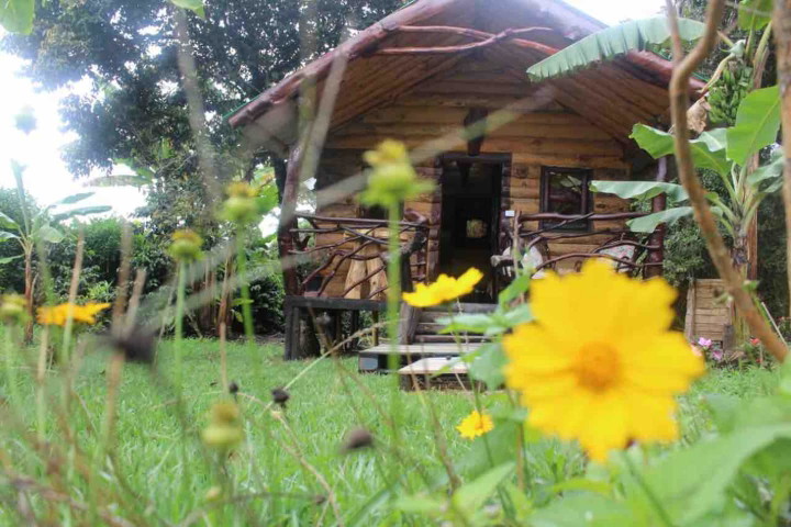 Cabin Of The Delighted Forest - Popayán