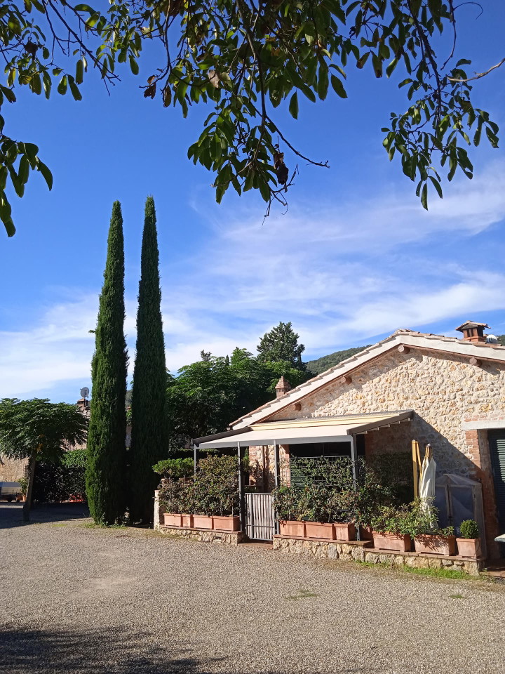 Les Cyprès - Toscane