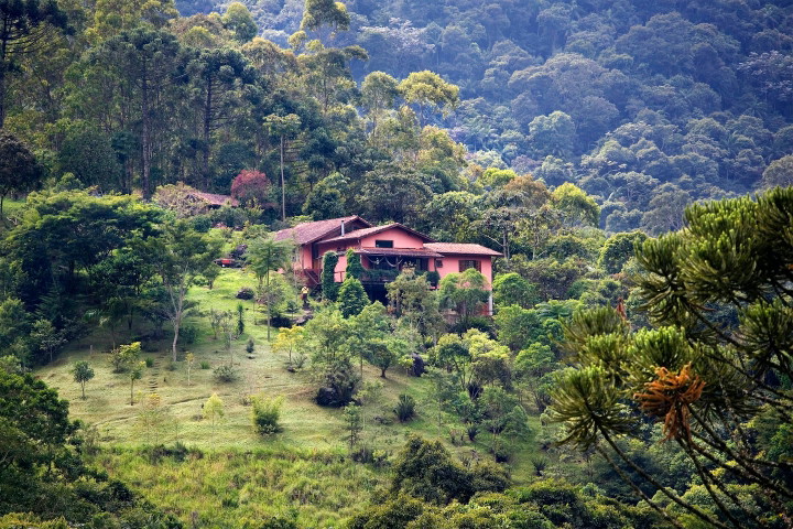 No Mocambo Do Jacaré: Muita Vista Sem Dar Na Vista - Brazil