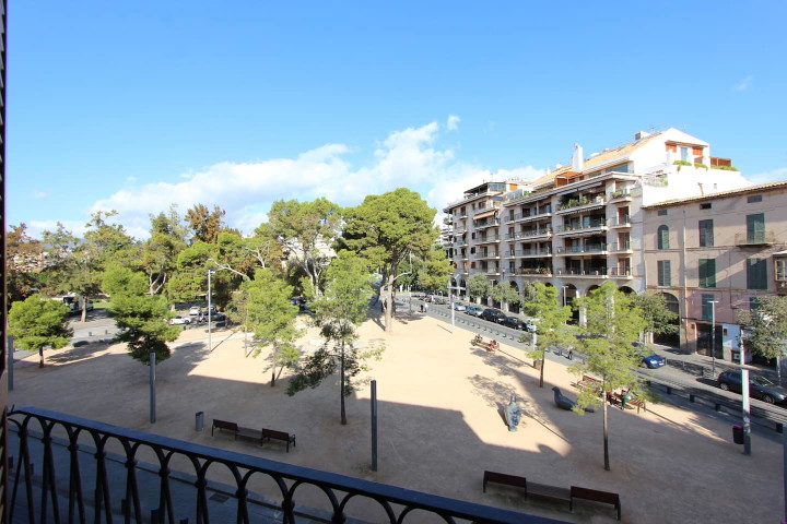 Old Town --- Palma La Lonja - Palma