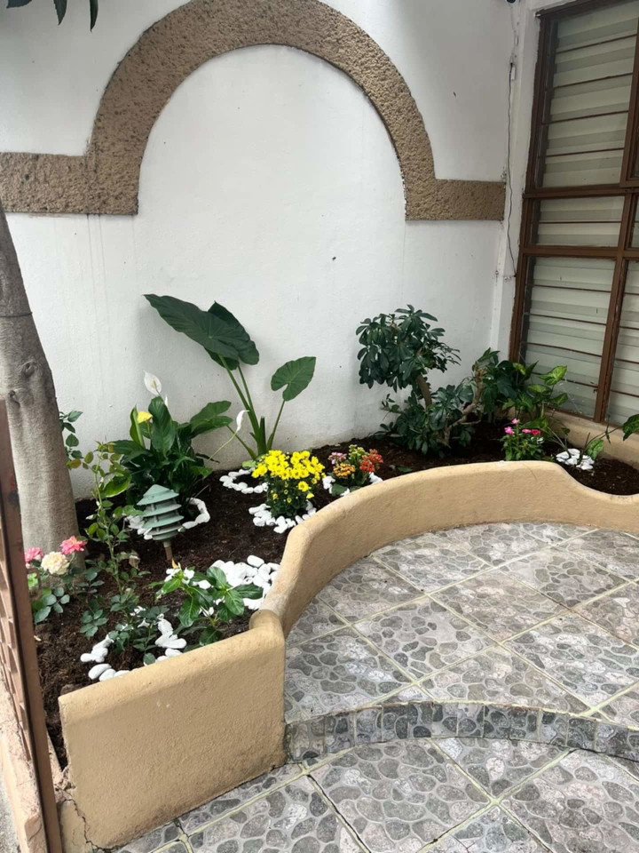 Grandma's House - Morelia