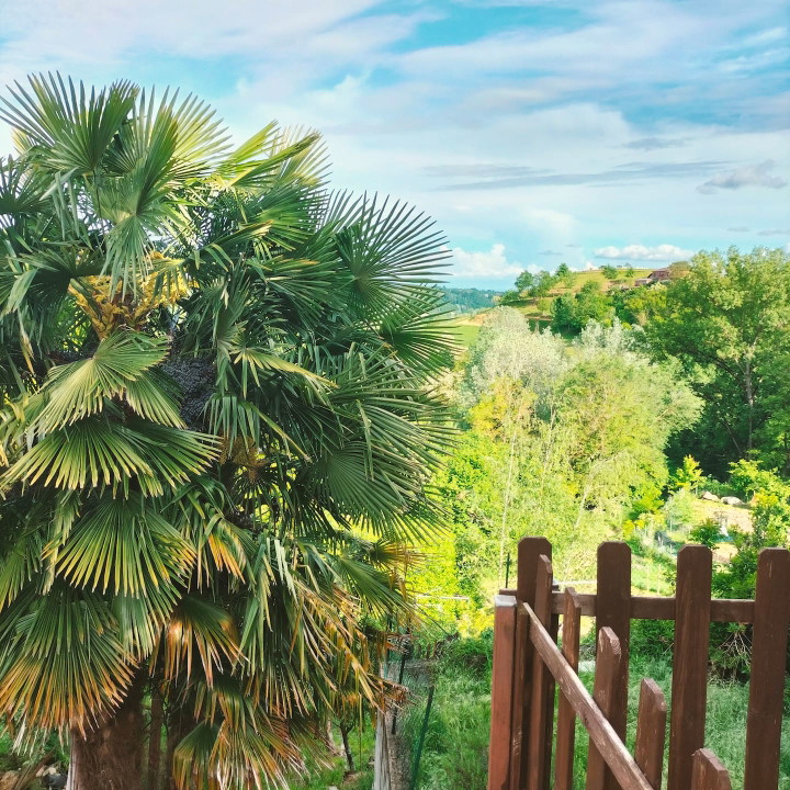 Appartement à Monferrato Di Dominga - Asti