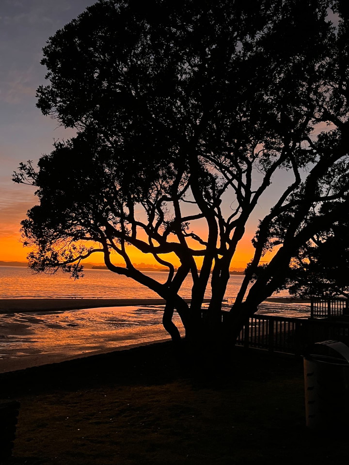 Spacious 1-bedroom Apartment Close To Howick Beach - Waiheke Island