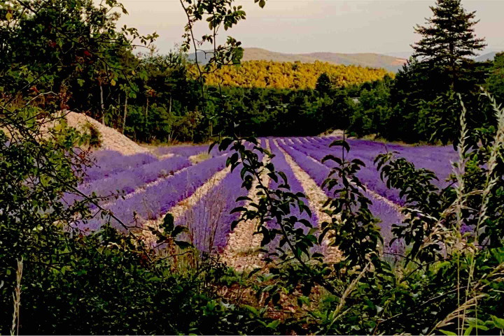 Villa Les Bataillers - Sault