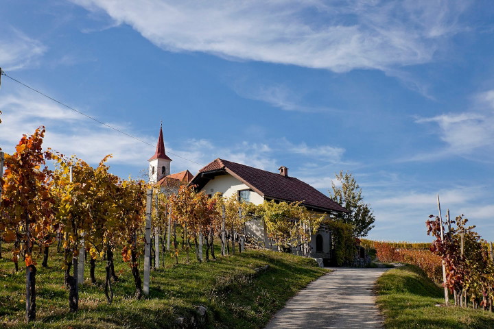 Cottage In The Vineyard, Airport Transfer,car Rent - Slovénie