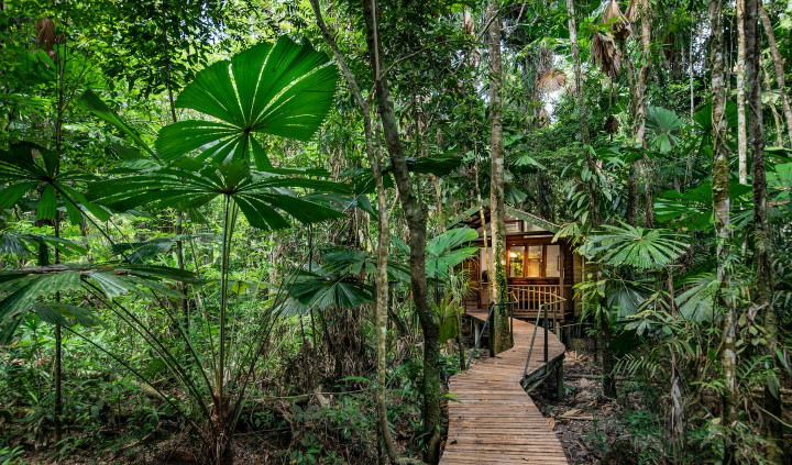Daintree Rainforest Stay For 3 - Triple Cabin - Daintree