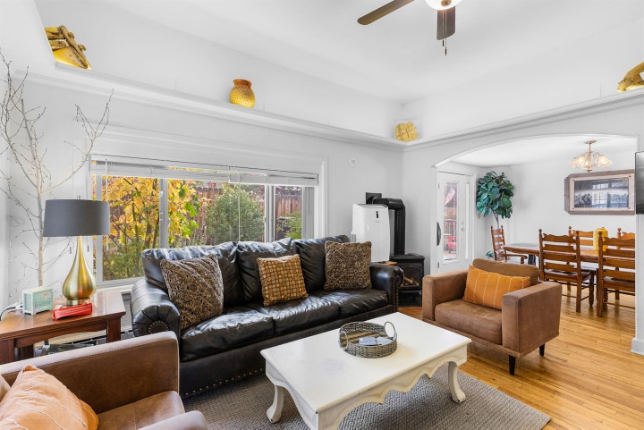 Main Level Haven | Steps From The Hot Springs - Telluride, CO