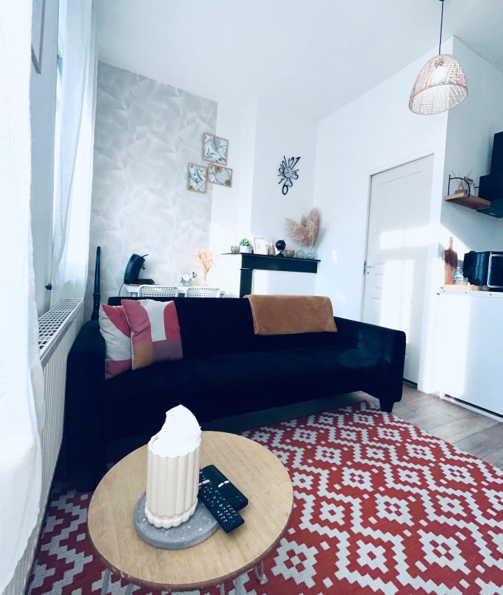 Bel Appartement Terracotta - Valenciennes