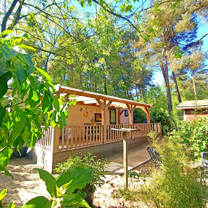 Forest Cottage The Vossennest On The Veluwe! - Nederländerna