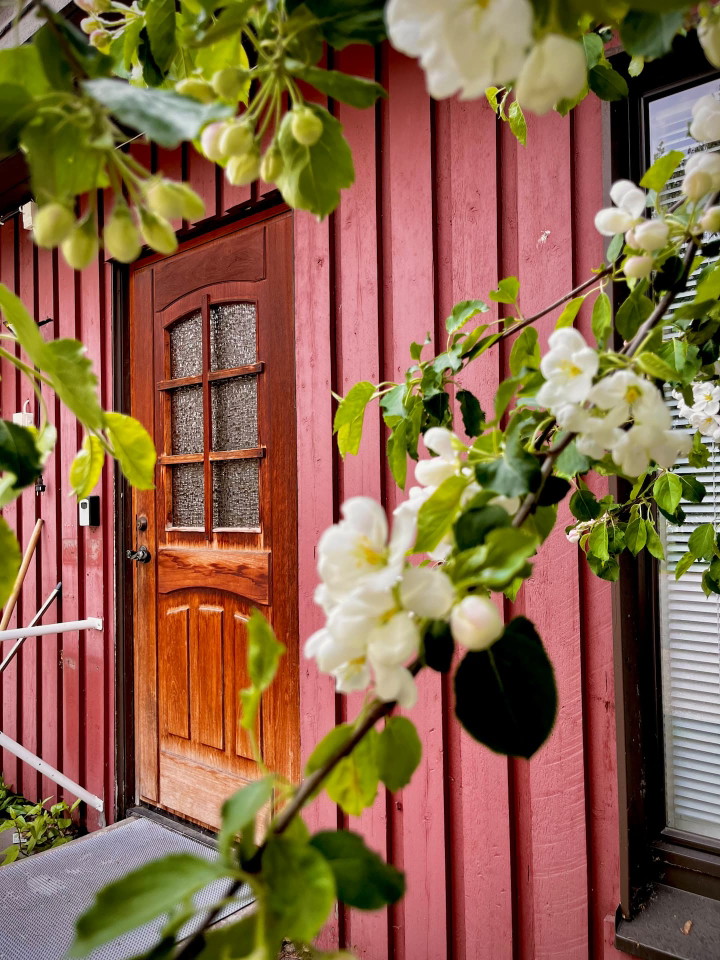 Rytikallio - Kokkola