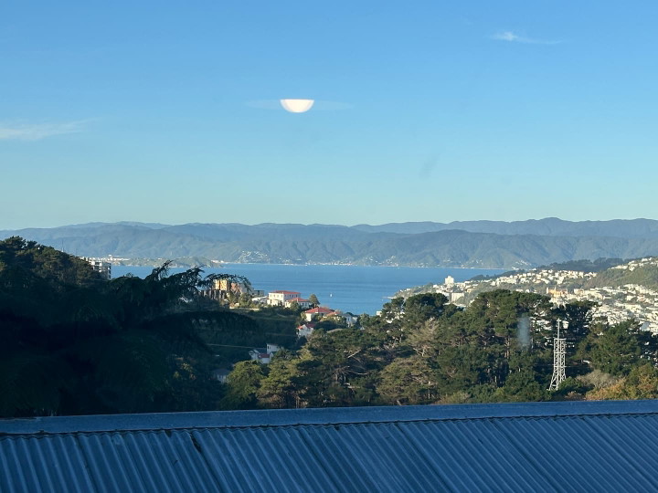 Urban Bush Hideaway - Northland
