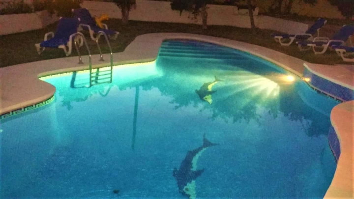 Hermosa Villa Con Piscina Privada Y Jardín Junto Al Puerto Deportivo Benalmádena - Torremolinos