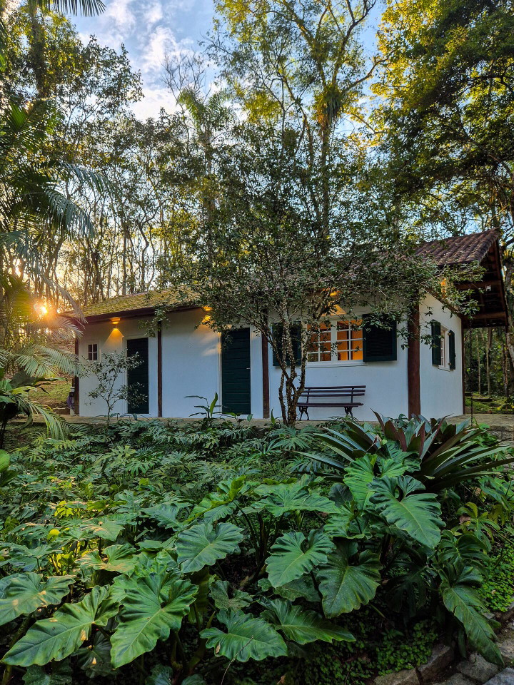 Refugio Na Mata Atlântica 2 - Gerador - Paraty - Brazil