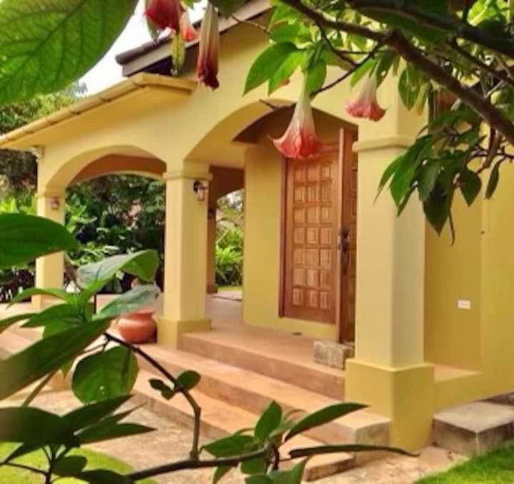 Beauty & Serenity At Kyah Place - Jamaica