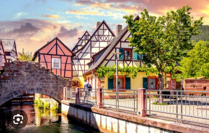 Wheelchair Accessible In Annweiler Stadt, Dogs Welcome - Landau