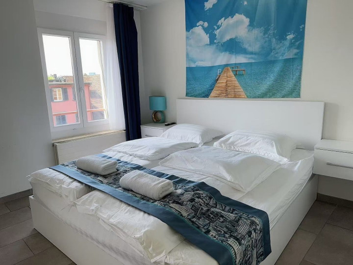 Appartement Dans Le Centre-ville à Côté De La Gare Principale - Zurich