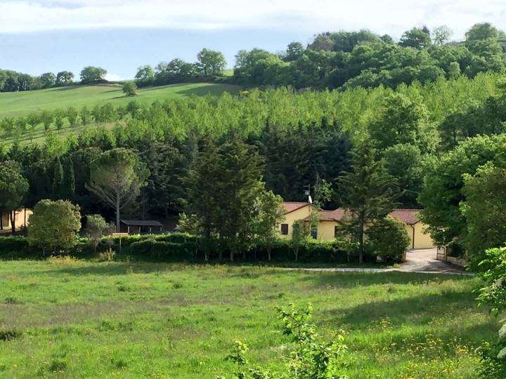 Agriturismo Sotto Il Colle  N°2 Fuga - Assisi
