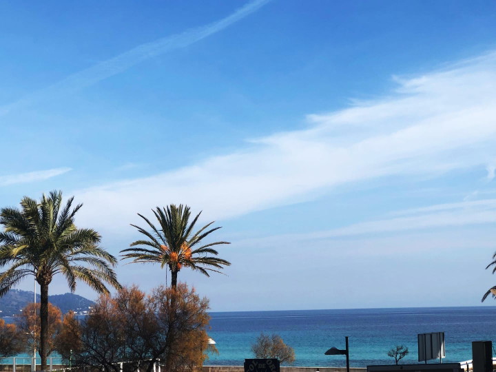 Ocean Views And 50 Meters From Poma Rosa Beach - Mallorca