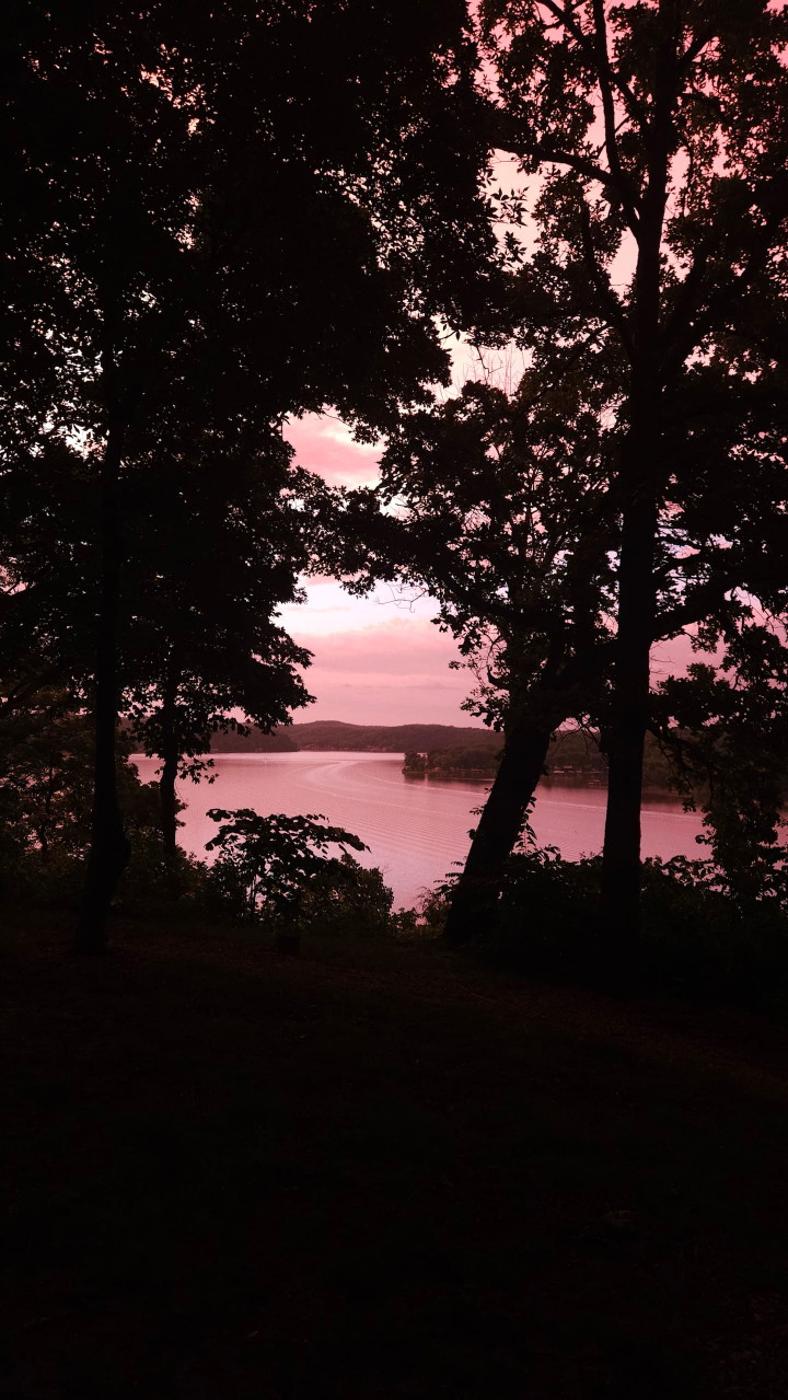 Blue Heron Hideawayrc*eagles*cliffside Lake Views - Misuri