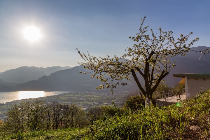 Agriturismo Alveare Sul Lago - Italie