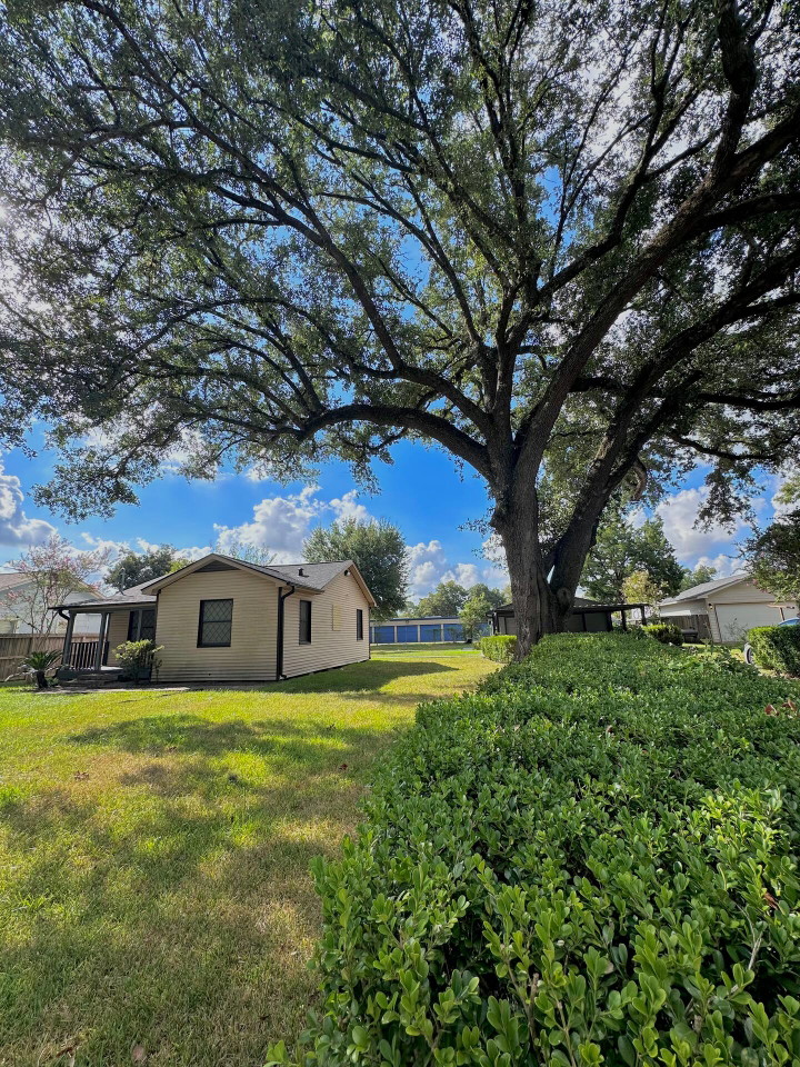The Live Oak - Aéroport George-Bush de Houston (IAH)