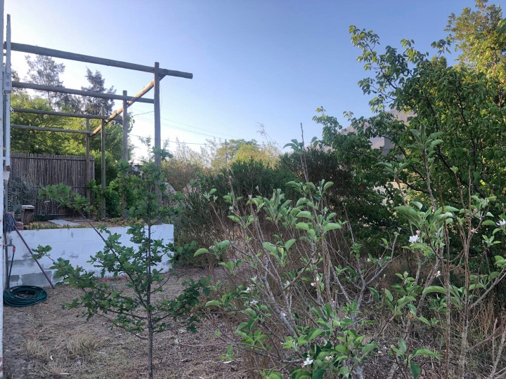 Little Negril - A Mini Rustic Countryside Cottage - Greyton