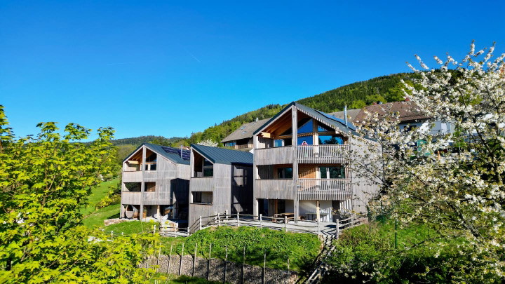 Maison En Bois Detox Die Sechs, Sauna/chien - Bad Herrenalb