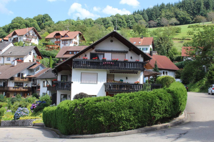 Ferienwohnung Huber Im Wunderschönen  Schwarzwald - Seebach