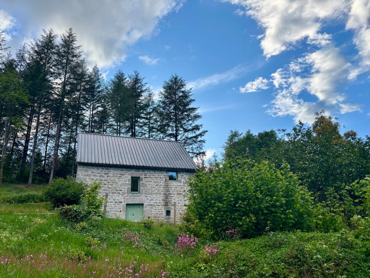 Gîte Corrèze : Piscine, Calme, Nature & Confort - Corrèze