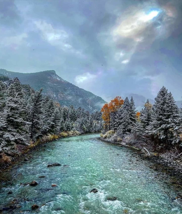 Sking, Fishing & Shopping! - Whitefish, MT