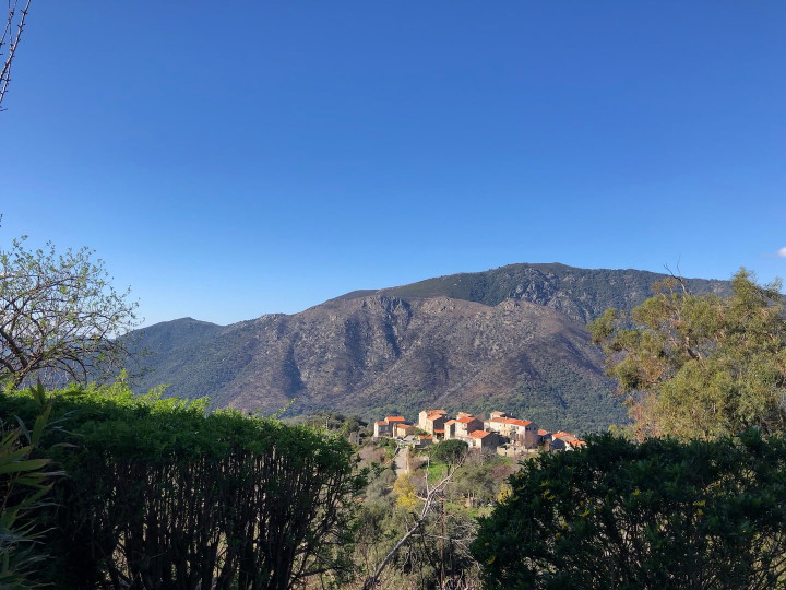Location En Alta Rocca Sainte Lucie De Tallano - Korsika