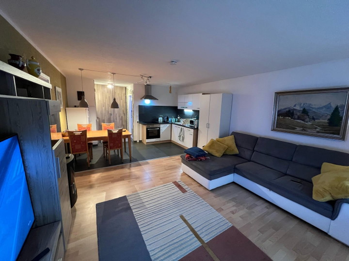 Schwarzwald Cozy Apartment - Todtmoos