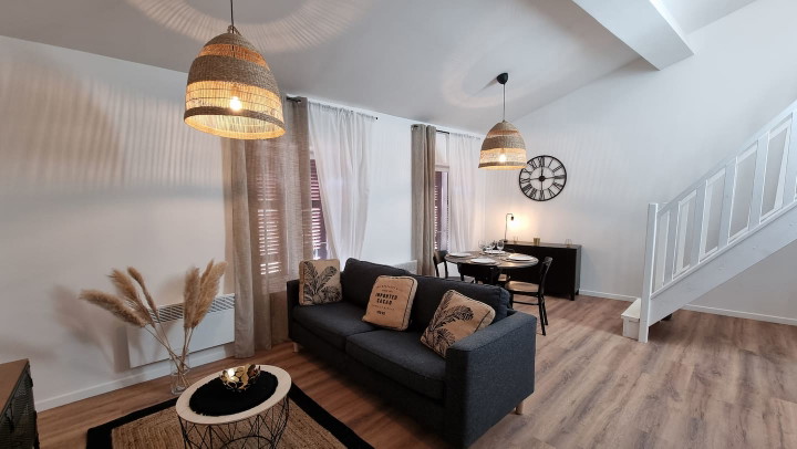 Appartement Climatisé Duplex Centre-ville - Rhône