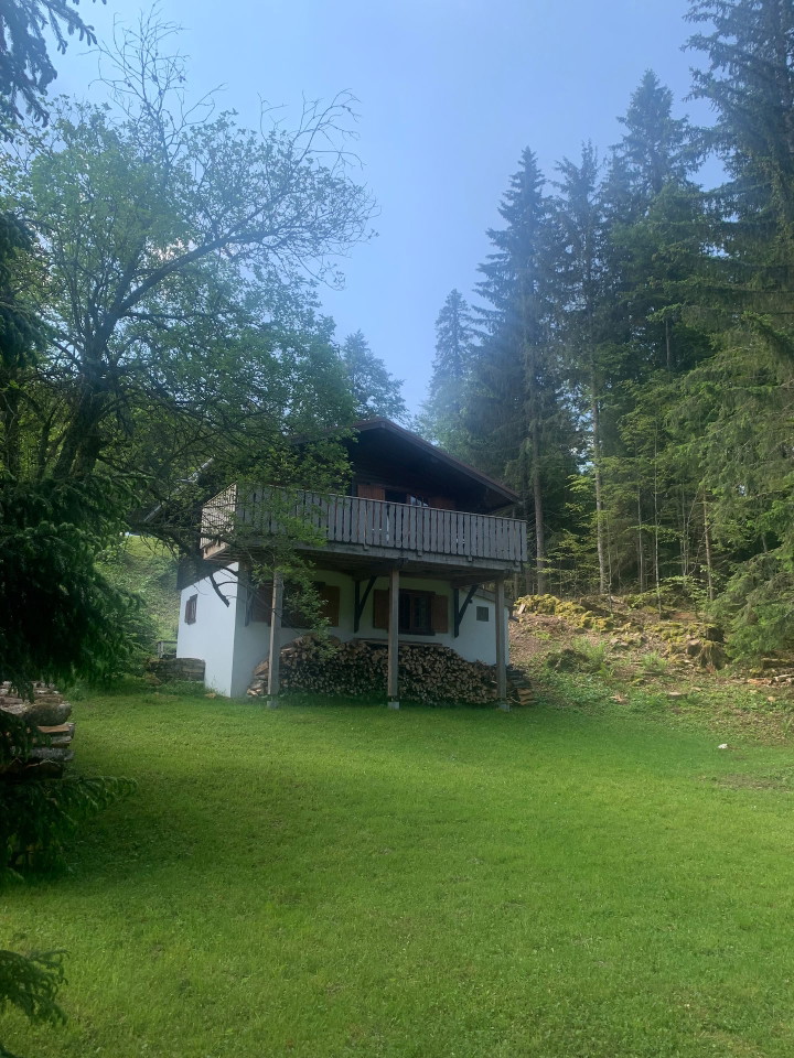Petit Chalet Cosy Pleine Nature à Prémanon - Prémanon