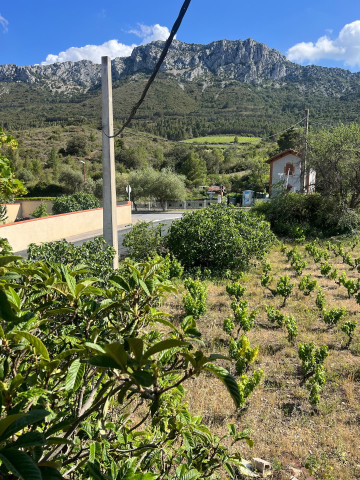 Loustal Des Vignes - Cucugnan