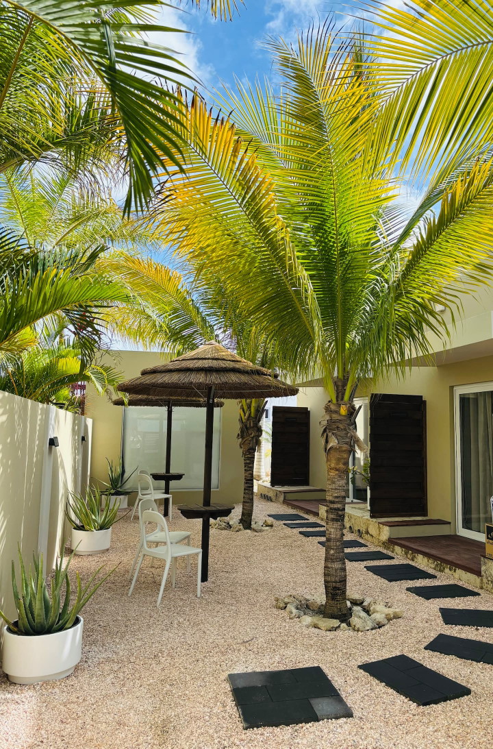 Palapa Suite # 8, Walk To Eagle Beach - Aruba