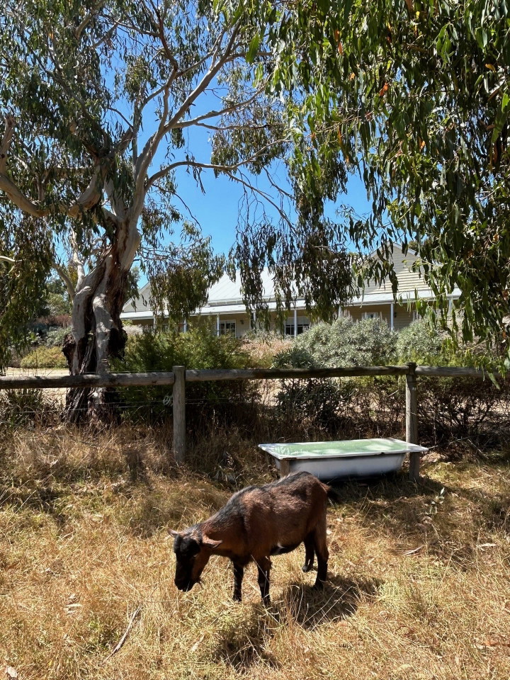 Burrendah House Mornington Peninsula - Mornington