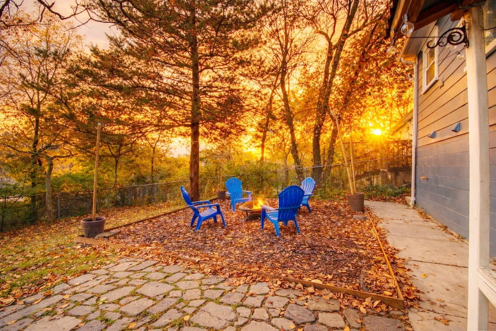 We Like Pets And We Even Have A Fire Pit Downtown - Fayetteville, AR