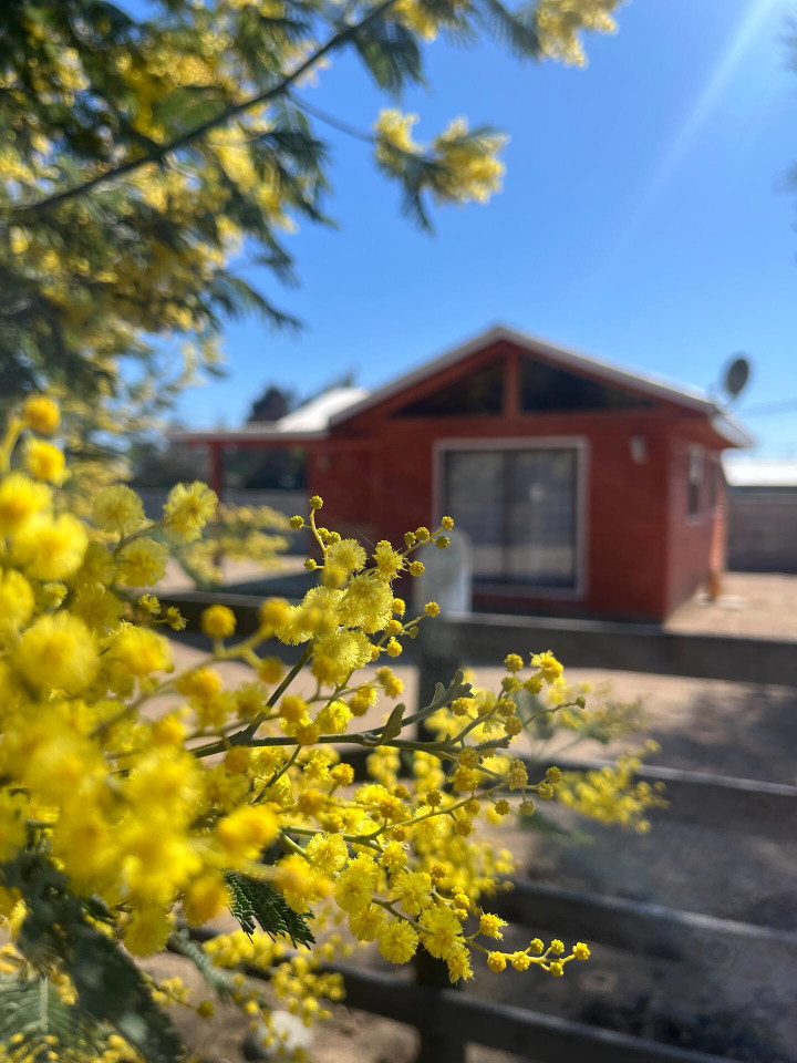 Cabin For 5 People - San Clemente, Chile