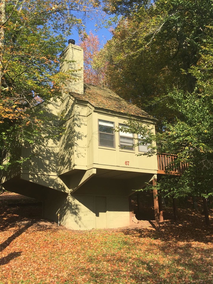 Cozy Cabin In Canaan Valley - Davis, WV
