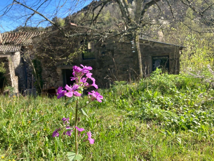 Réminiscence En Cévennes
Joli Mazet En Pierre - Le Vigan