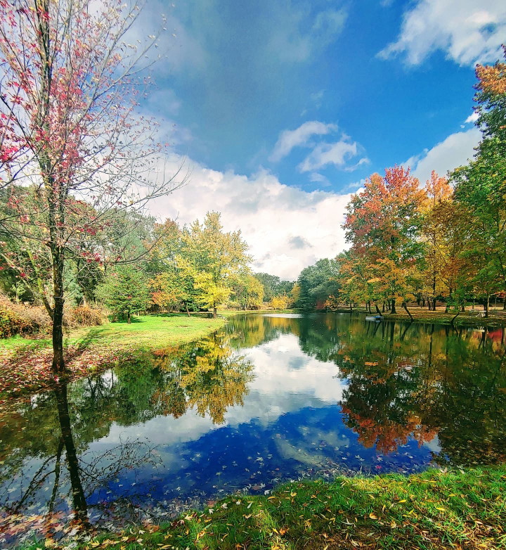 Discover Lake Farmhouse Next To 100 Acres - Roseville, CA