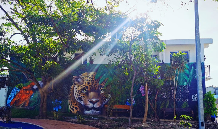 Cozy Studio-type Apartment In Casa Colibrí (Kan) - Playa del Carmen