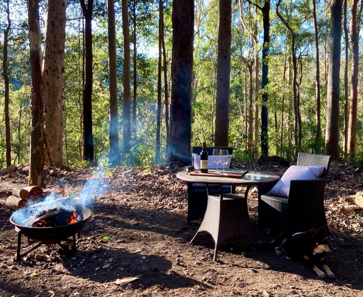 Tranquil Forest Cabin Retreat - Central Coast